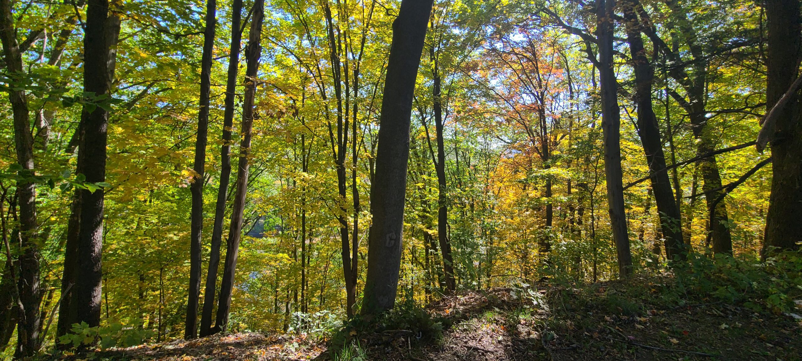 Current Events - Upper Valley Haven