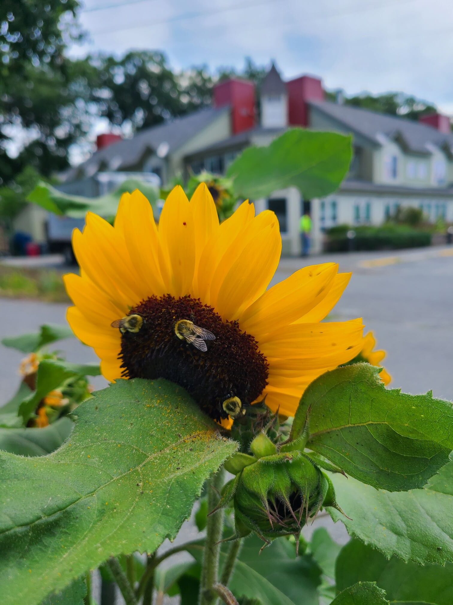 Quiana's Story - Upper Valley Haven